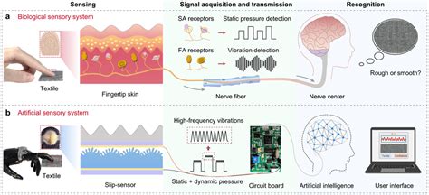 A Robotic Sensory System With High Spatiotemporal Resolution For Texture Recognition Bohrium