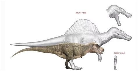 Prehistoric Planet Trex And Jurassic Park Spinosaurus Size Comparison Arte Com Tema De
