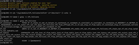 打好补丁之后无法上网 · issue 1 · fullcone nat nftables openwrt firewall4 with
