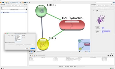 Highlighting Various Stringapp Features In A Screenshot Of A Small Download Scientific Diagram