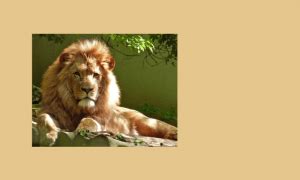 How To Make A Layer Transparent In Photoshop Quick Tutorials