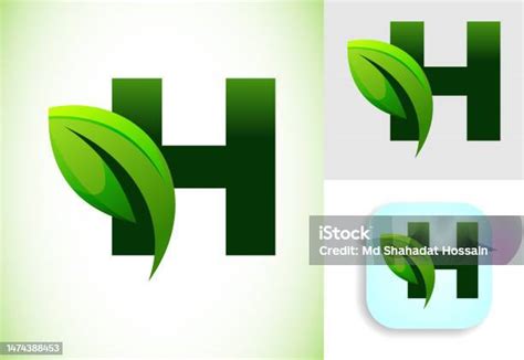 잎이 있는 초기 H 알파벳입니다 친환경 로고 개념 비즈니스 및 회사 정체성에 대 한 그래픽 알파벳 기호입니다 0명에 대한 스톡 벡터 아트 및 기타 이미지 Istock