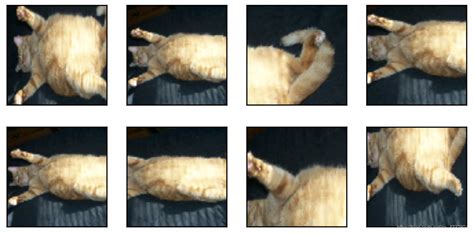 Pytorch学习笔记（三十八）：image Augmentation Csdn博客