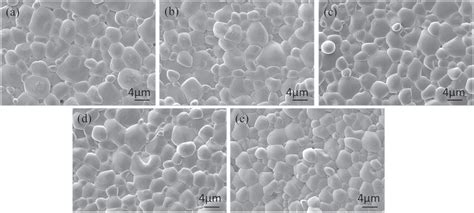 The Cross Sectional Micro Morphology Of Download Scientific Diagram