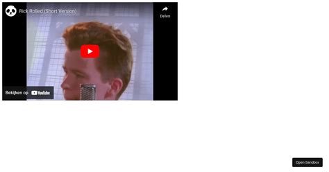 Vue Youtube Codesandbox