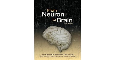 From Neuron To Brain Neurons In Action Version 2 By John G Nicholls