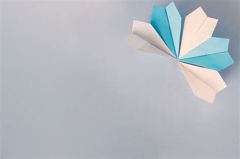 종이 비행기의 그룹 회색 배경 위에 꽃의 형태로 배치 학교와 교육 개념 돌아가기 비행기 여행 및 관광의 상징으로 0명에 대한 스톡 사진 및 기타 이미지 Istock