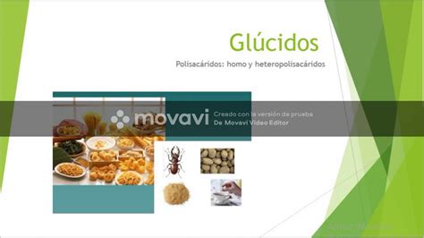 Polisacaridos Homo Y Heteropolisacaridos Youtube