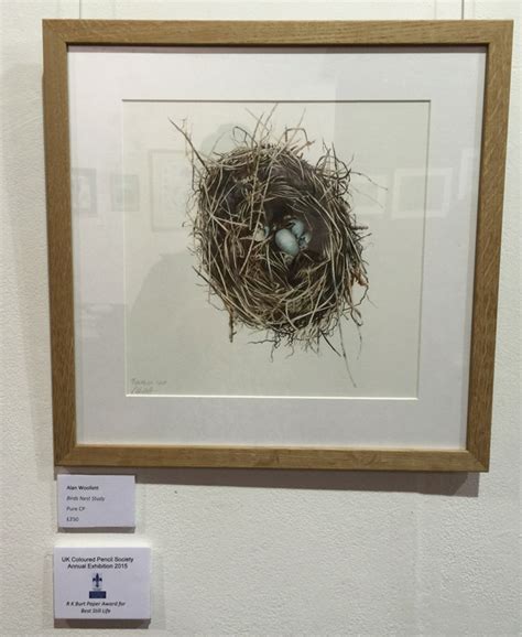Making A Mark Review Bird Art By Alan Woollett