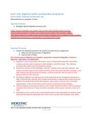 Unit 5 Lab Assignment Docx Unit 5 Lab Digestive System And Nutrition Assignment Demonstrate