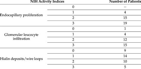 Activity And Chronicity Index In Lupus Nephritis Download Scientific