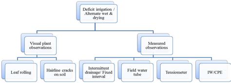 Different Approaches For Scheduling Of Water Deficit Irrigation In Rice