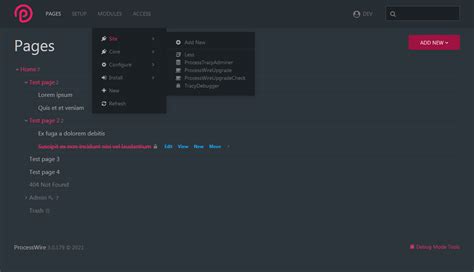 Pw 30179 Core Updates News And Announcements Processwire Support