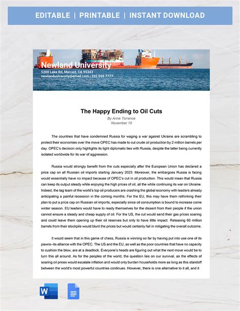 Free Sample Narrative Report Template In Word Google Docs Download