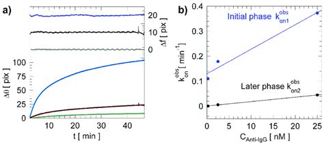 A Association Binding Curves For Increasing Concentration Of