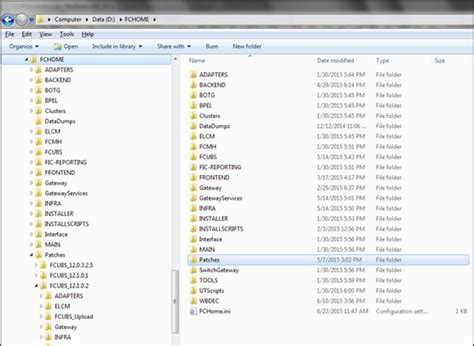 Oracle Flexcube Installation Varieties