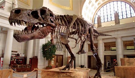Bitácora Del Párvulo Dinosaur 13