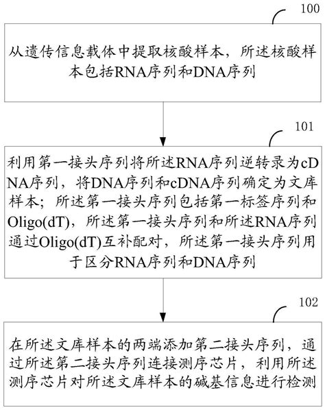一种单细胞测序的方法及电子设备与流程