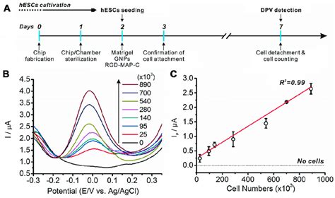 Linear Correlations Between Differential Pulse Voltammetry Dpv Download Scientific Diagram