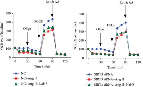 Nahs Inhibits α Sma Expression And Oxidative Stress And Improves