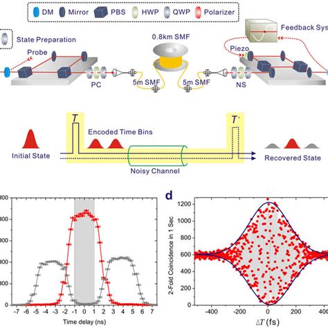 Schematic Of Quantum Error Detection A Experimental Setup The Download Scientific Diagram