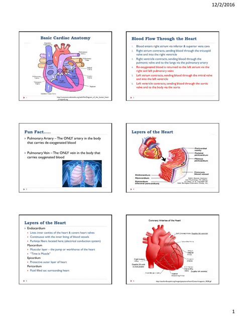 Pdf Basic Ecg Interpretation Learning Stream Guiding Principles Of The Ecg A Standard Ecg