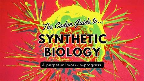 The Codon Guide To Synthetic Biology