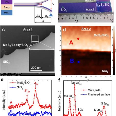 Interfacial Fracture Behavior Of The Interface Between Mos2 And Silicon