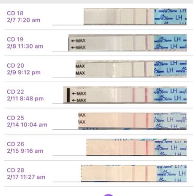 Positive Opk To Bfp Line Progression Bfp While Breastfeeding Bfp With No Cm Bfp With One Bd