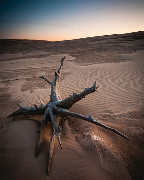 Using Cypress In Gitlab Ci Lcx