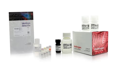 Invitrogen™ Medical Test Systems Inc Medtest