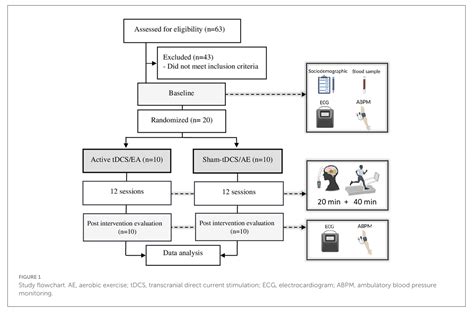 New Paper Tdcs For Aerobic Exercise In Hypertennsion — Ccny Neural Engineering Group