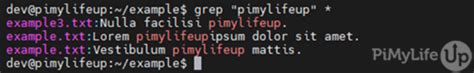 How To Use The Grep Command Pi My Life Up