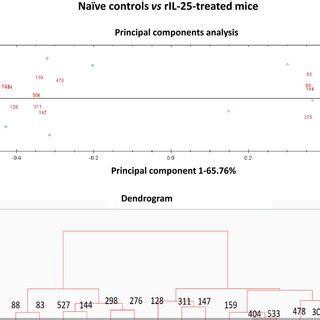 Multivariate Statistical Analysis Applied To The Set Of 41 Manually Download Scientific Diagram