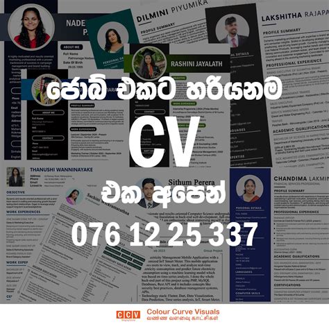 Python Developer Internship Jobseekerlk