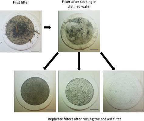 Table 1 From Testing Of Methodology For Measuring Microplastics In Blue