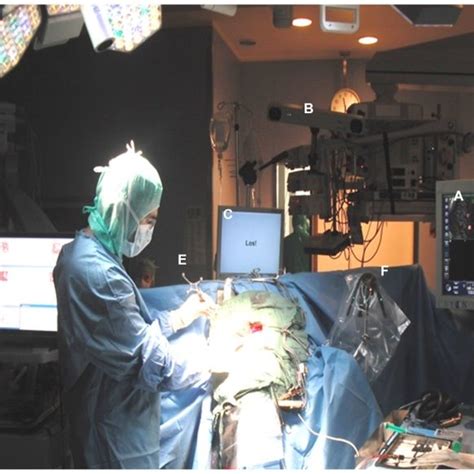 Closed Loop Braincomputer Interface Set Up The Implanted Epidural Download Scientific Diagram