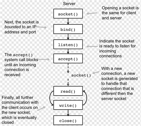 Soquete De Rede Soquete De Domínio Unix Servidores De Computador