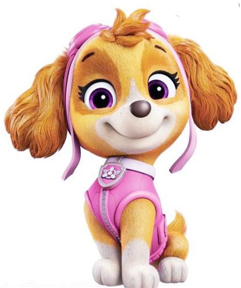 Paw Patrol Pinata Paw Patrol Skye Birthday Donut Decorating Ideas