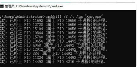 Windows 7或10 删除进程方法，解决端口占用问题 使用 Taskkill 命令根据进程 Pid 号或者进程名（xxxexe）删除进程windows 删除进程 Csdn博客