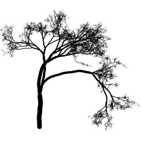 Tree Stencil Stencils Tree Silhouette Tree Art Simple Patterns Trees Interior Painting