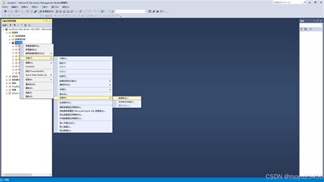Sql Server 数据库管理工具的安装以及使用sqlserver管理工具 Csdn博客