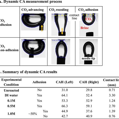 Lijie Zhang Assistant Professor Doctor Of Philosophy New Jersey Institute Of Technology