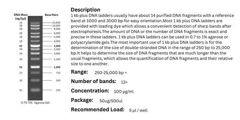 Ladder And Protein Markers Superworth Bio