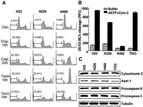 Chemoresistant H460 Cells Have Diminished Cytochrome C Dependent