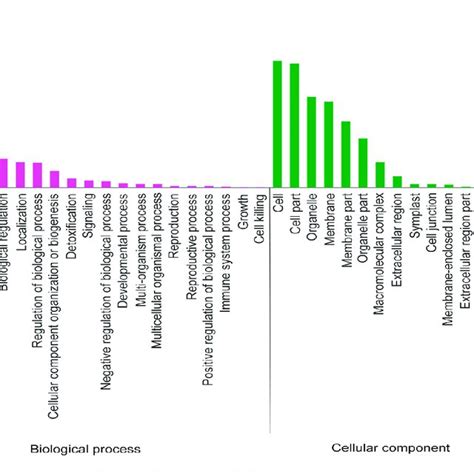 The Gene Ontology Go Functional Annotation Of Deps Download