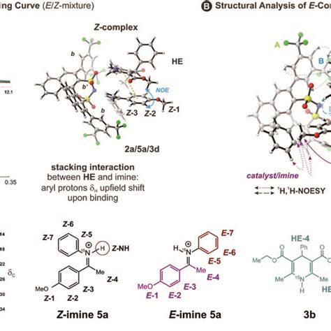 Chemical Shift Mapping And Noehoe Analysis Proves Bifunctional Binding