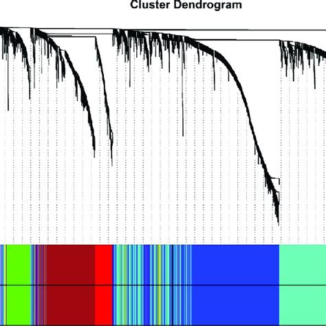 Clustering Tree Diagram By Hierarchical Clustering Based On Genebased