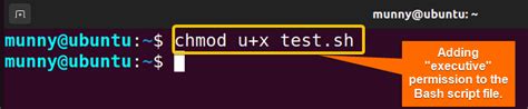 Bash Scripting Basics