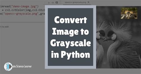 How To Convert Image To Grayscale In Python 3 Methods
